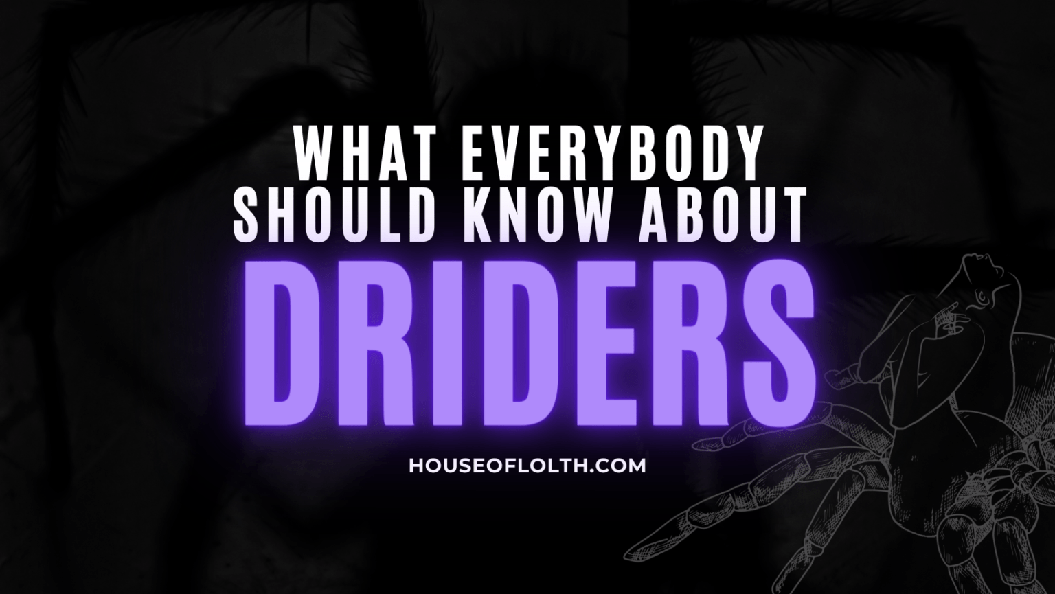 325 Amazing DND Shop Name Ideas For Your Game - House Of Lolth